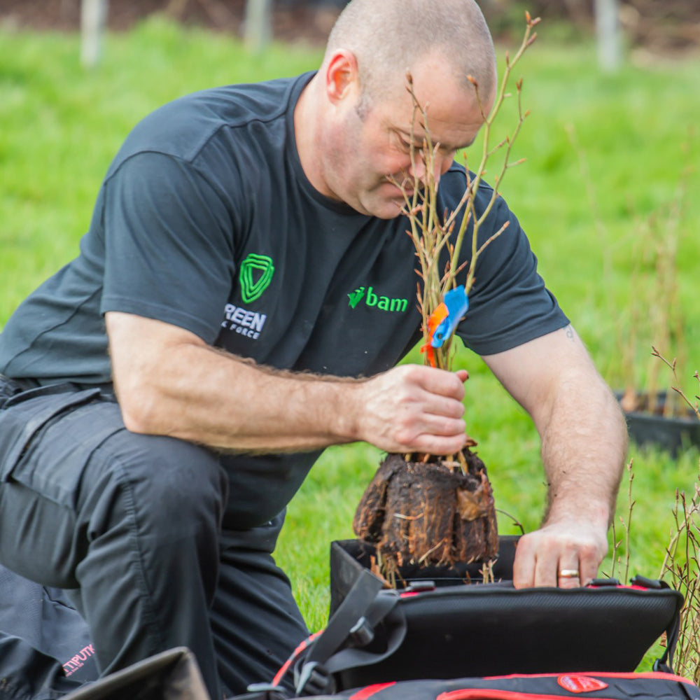 Sustainability | FFS Beauty